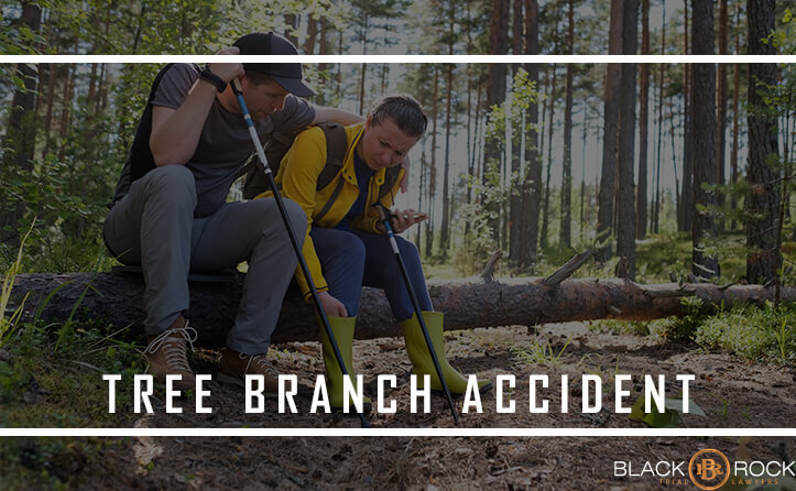 Tree Branch Accident Injury Lawyer | Black Rock Trial Lawyers | Tampa FL